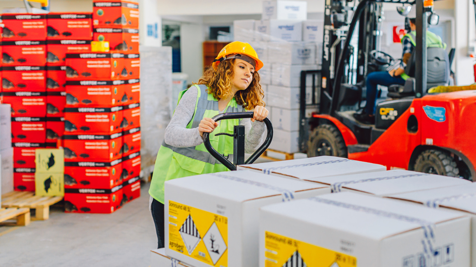 Health And Safety Courses Safety n Action health-and-safety-courses-safety-n-action