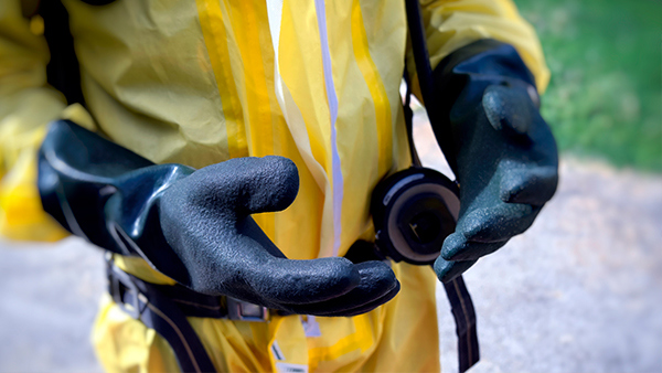 Certified Handler Preparation Online | Safety 'n Action