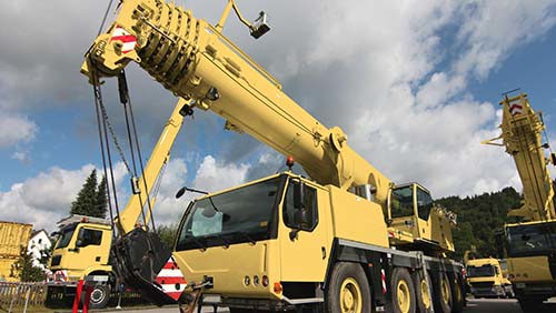 Dogman | Safety 'n Action