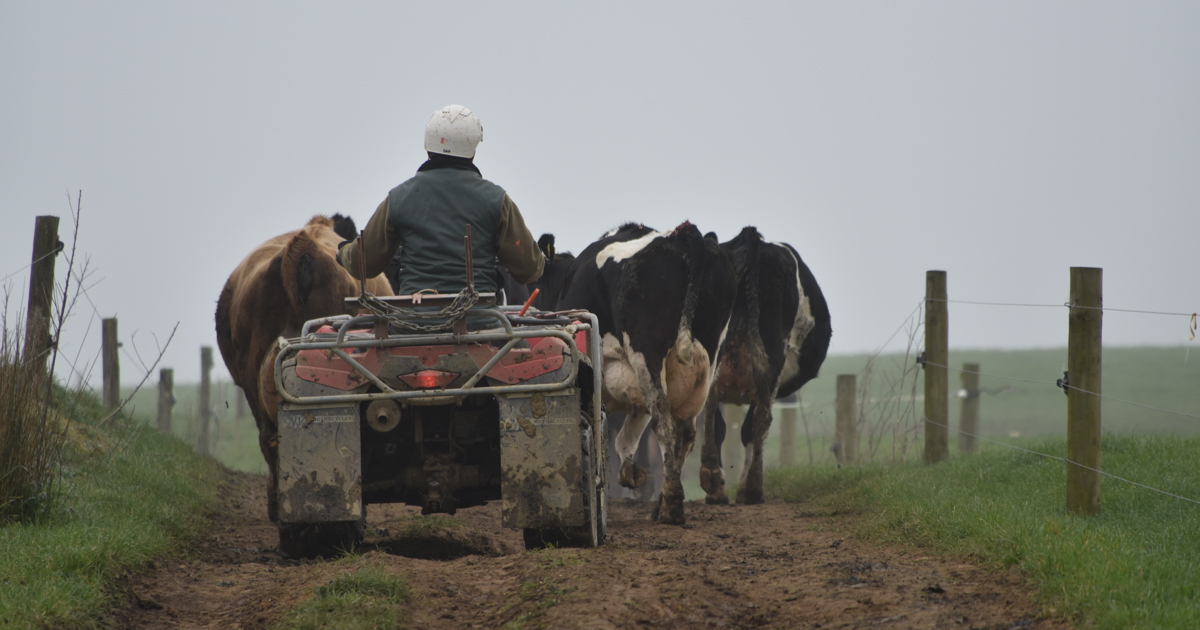 Apply Safe Work Practices | Safety 'n Action