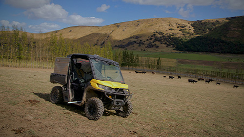 Light Utility Vehicle Initial and Refresher | Safety 'n Action